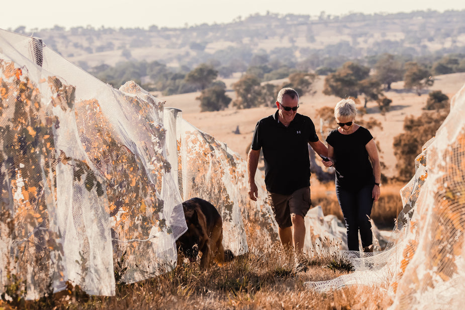 Introducing the latest release from Hobbs of Barossa Ranges; Behr Cree ...