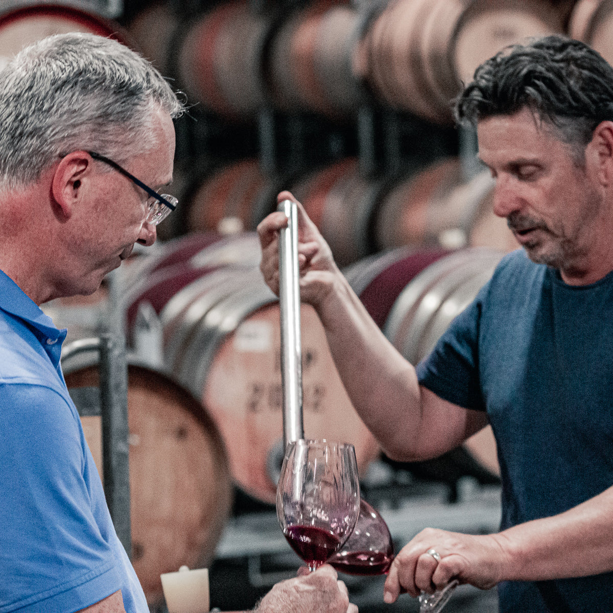 The story & history behind: The ancestor vines of Planta Circa ...